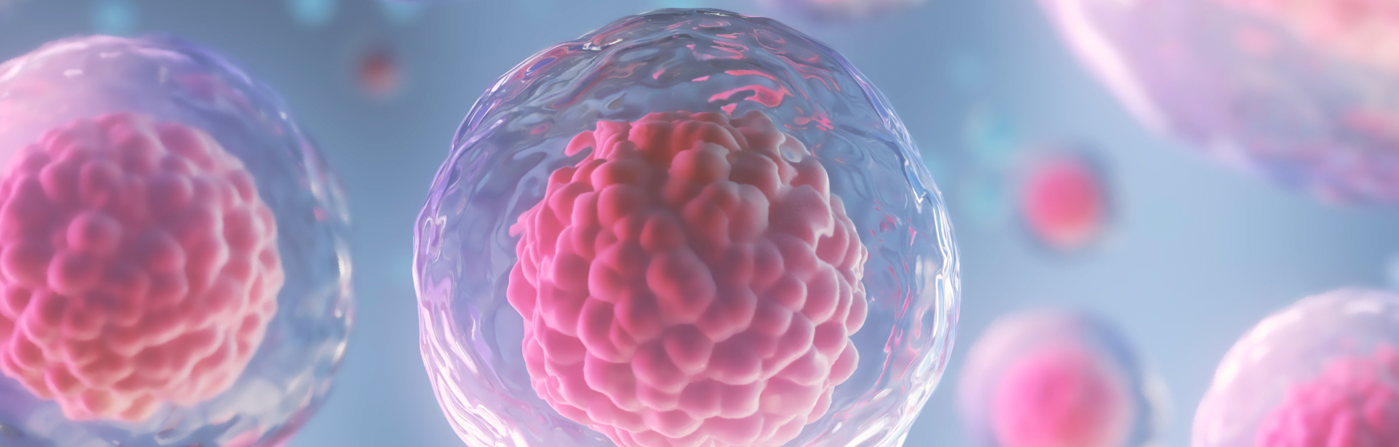 Our Products - Biocodex.com